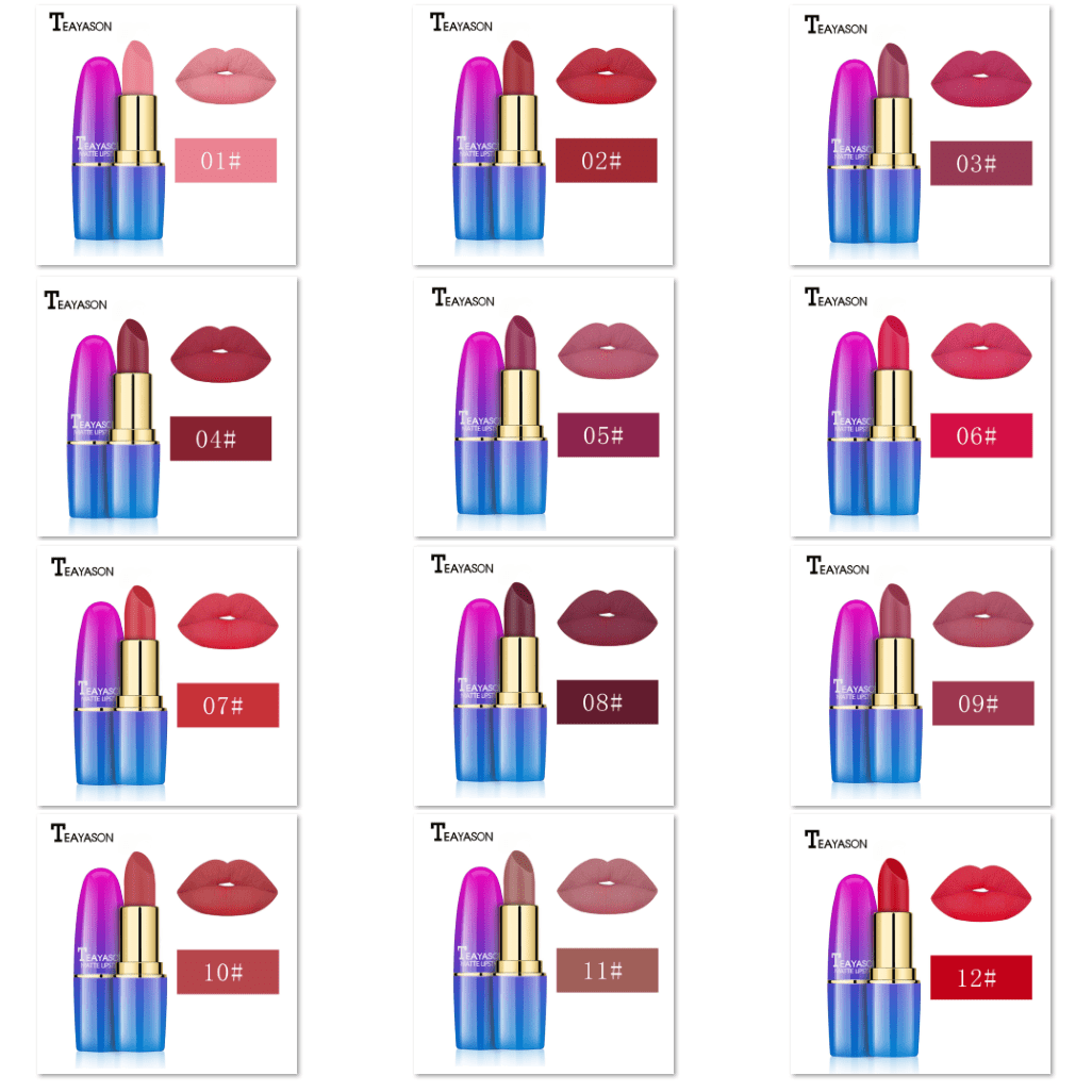 Teayason Matte Lipstick 12pcs Set (Silver Box) - Colour Zone Cosmetics